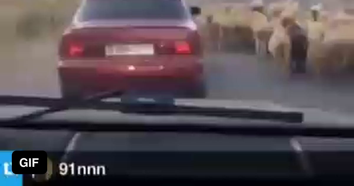 How to steal a goat 101 - 9GAG