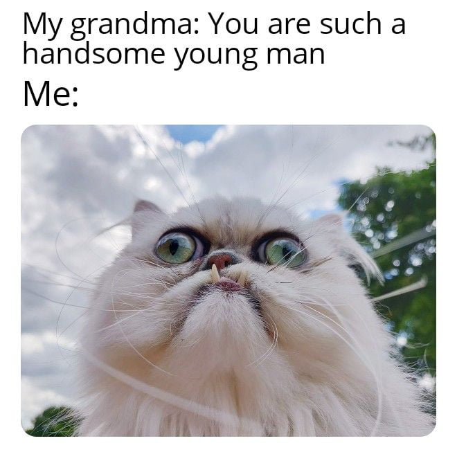 There is a weird cat outside - 9GAG