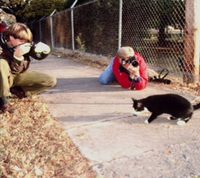 Paparazzi surrounding Socks, Bill Clinton's cat, 1992. - 9GAG