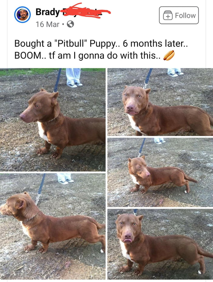 Looks like you got the short straw - 9GAG