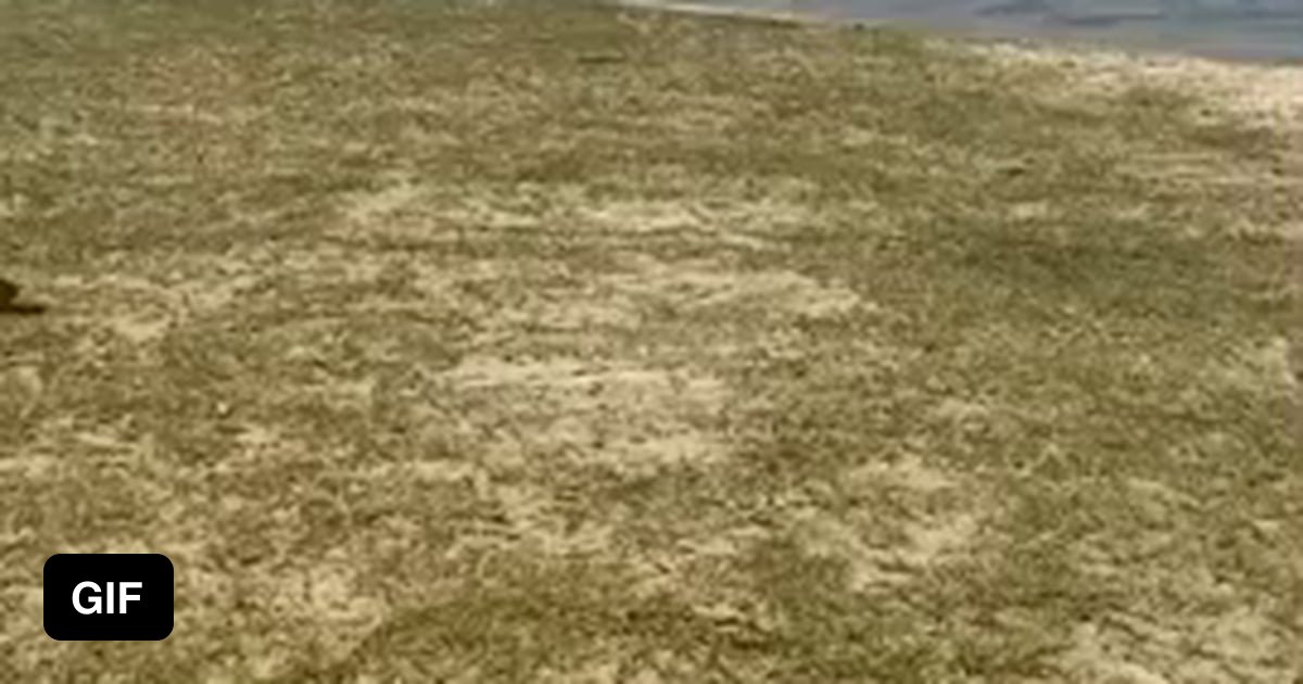 That are some good.... moves - 9GAG