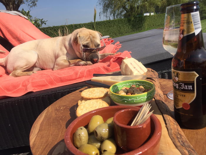 Covid, Wildfires, stupid politician, it’s easy to get bummed out ...