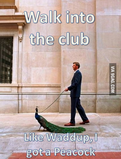Walk into the club... - 9GAG