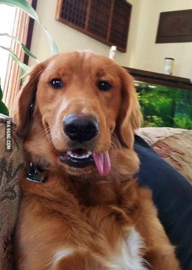 Look at this doofus - 9GAG