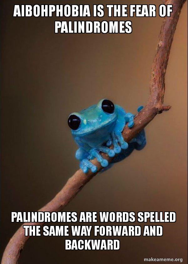 Aibohphobia spelled backwards is aibohphobia - 9GAG