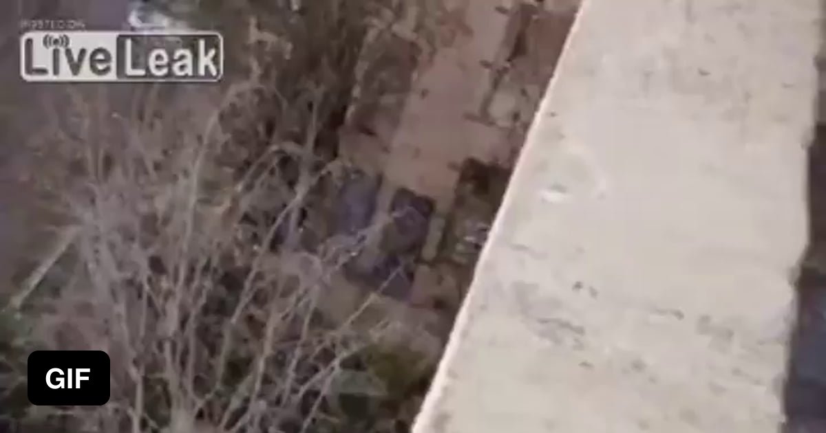 Terminal velocity for cat saves it from dying - 9GAG