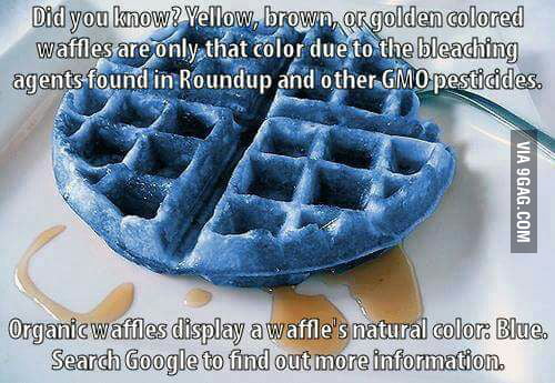 Seriously guys, blue waffles or no waffles. - 9GAG