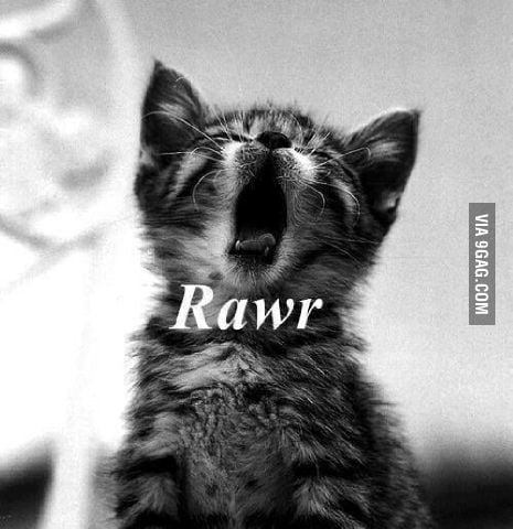 Rawrrrr - 9GAG