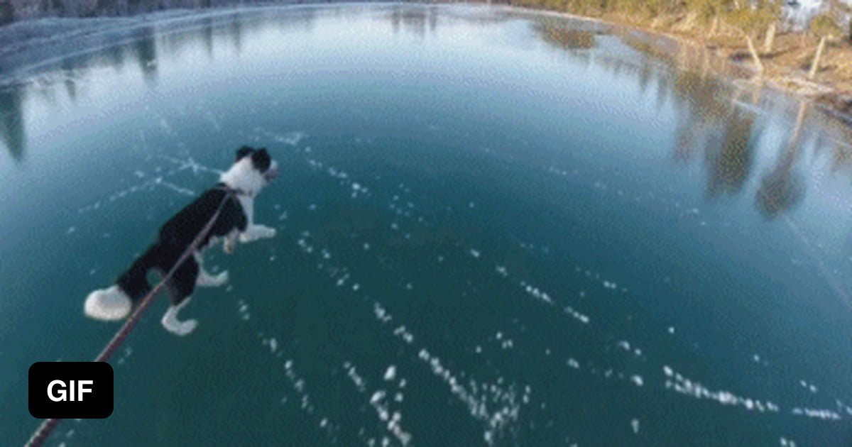 Skating on very clear ice - 9GAG