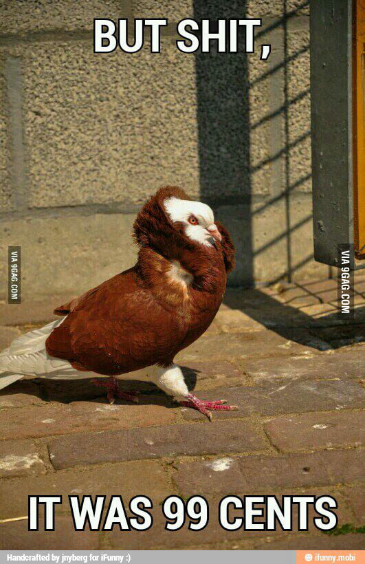 But shit it was 99 cents - 9GAG