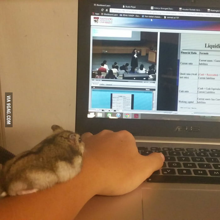 My study buddy! - 9GAG