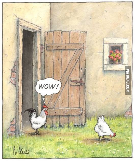 Dat Ass 9gag