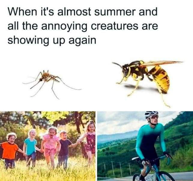 Damn summer - 9GAG