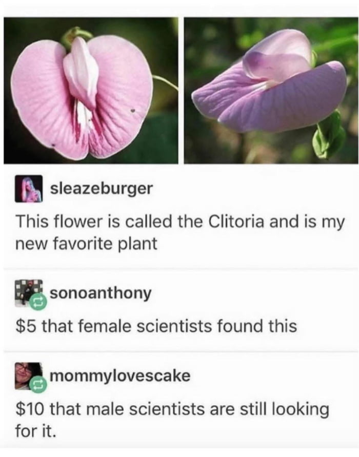 Nature is wild, and scientists are... well... - 9GAG