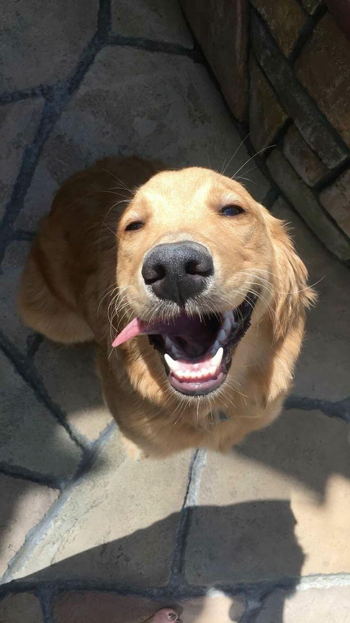 Happiest smile. - 9GAG