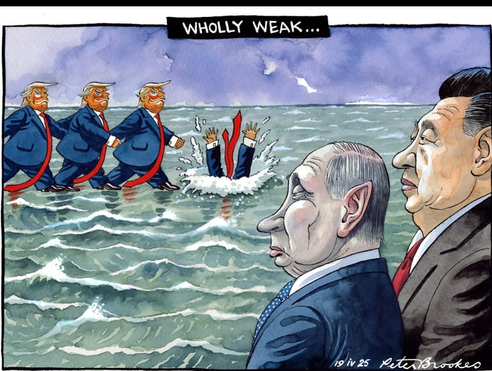 Today's Times cartoon giving us a daily Commander-in-Thief chuckle ...