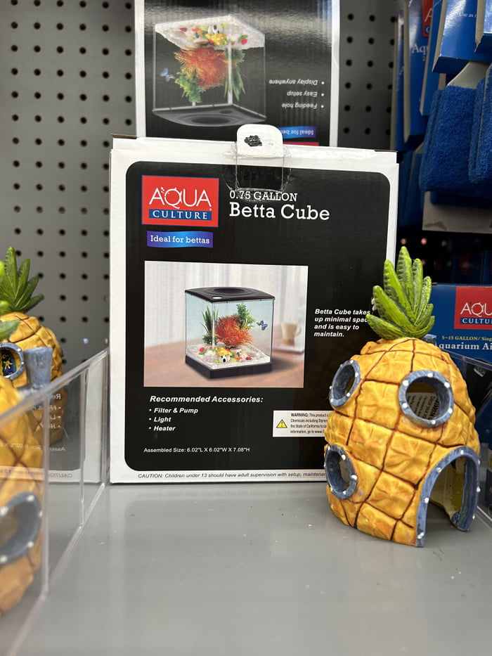 Saw this at Walmart today. When are we going to stop normalizing this ...