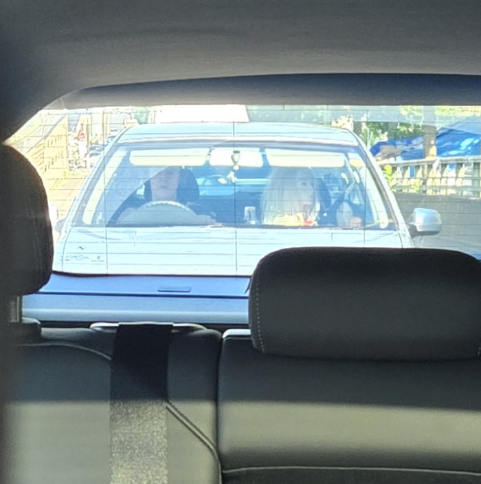 Carpooling with a blow-up doll to fool automatic controls - 9GAG