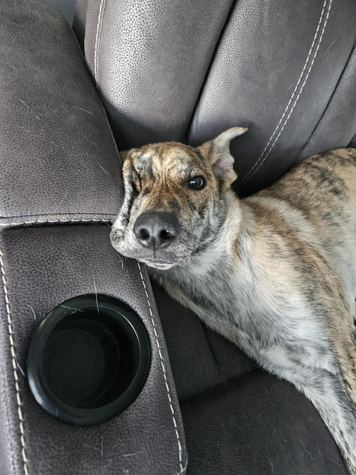 After a face-melting nap on the couch - 9GAG