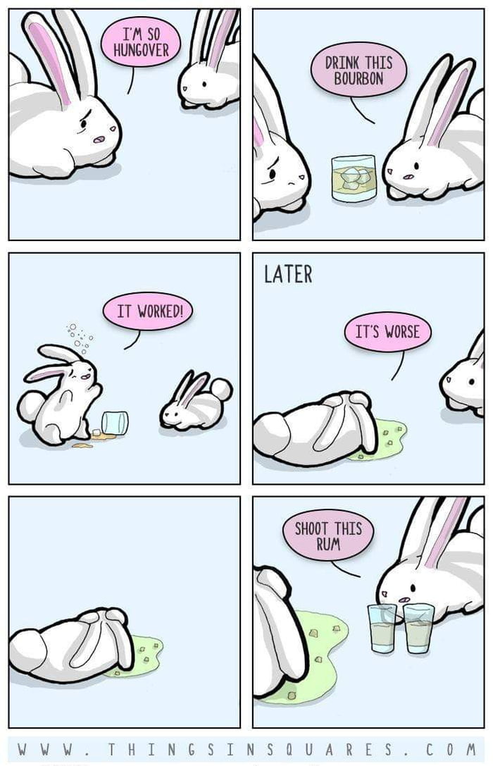 This bunny never stops - 9GAG