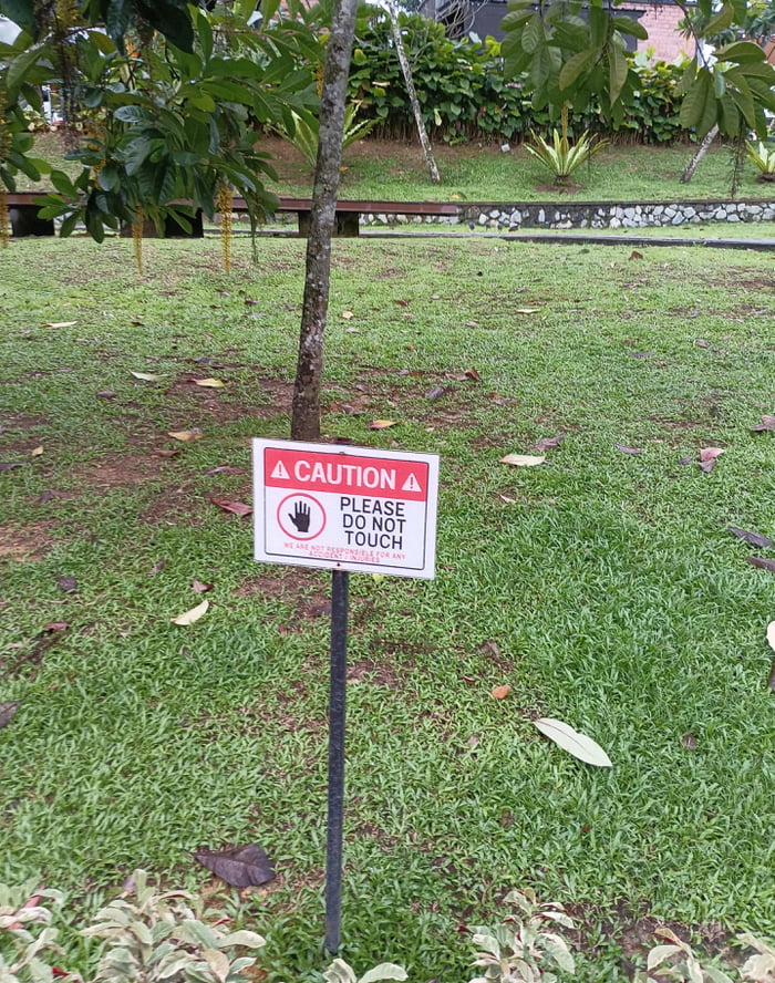 Do not touch the grass - 9GAG