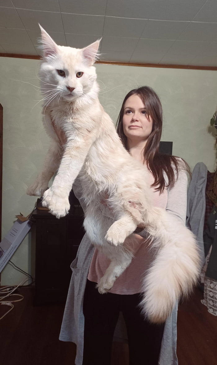 Holding a cloud with paws. - 9GAG