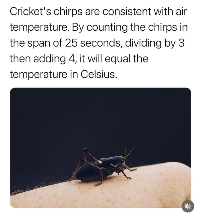 Crickets know the temperature. - 9GAG
