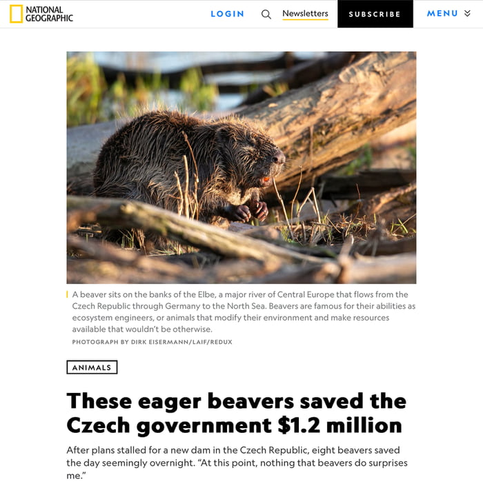 When Bobr is more efficient than a goverment. - 9GAG