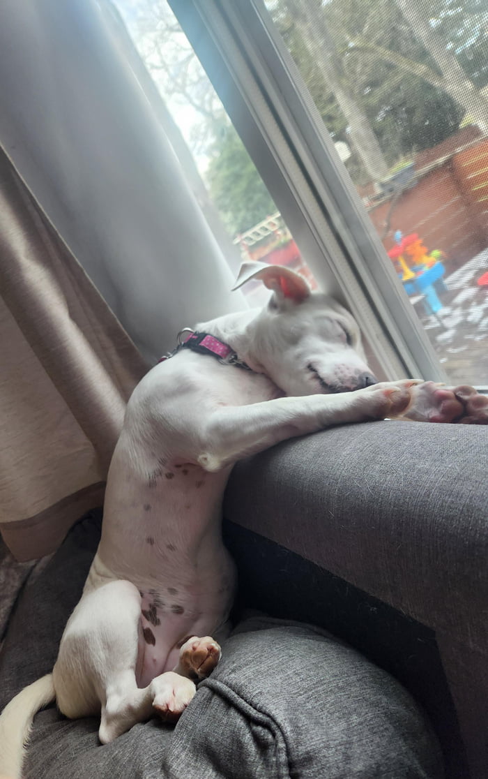 Heat comes up behind the couch - 9GAG