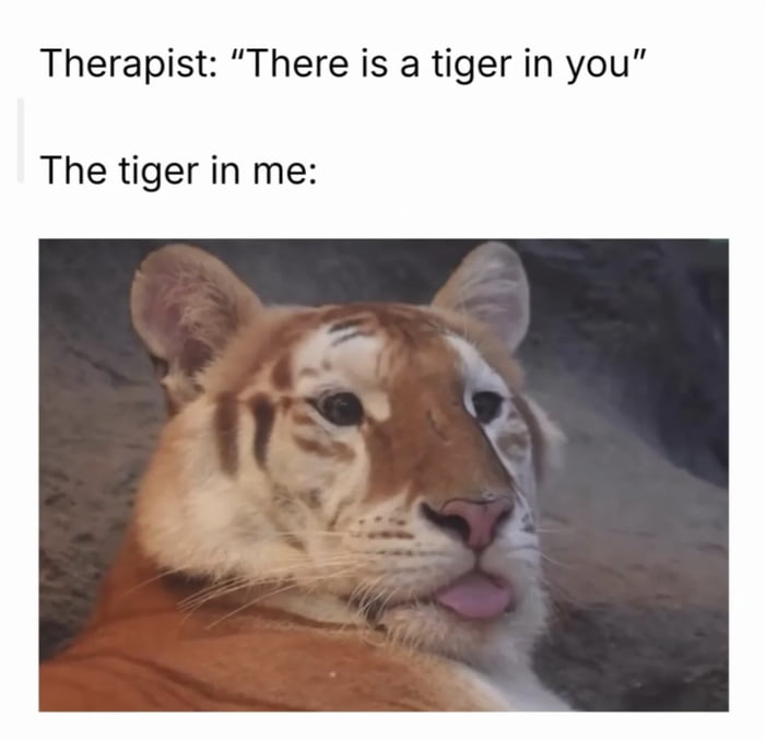 My inner tiger is more of a house cat - 9GAG