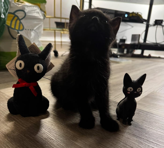 Try finding the real void. Difficulty: impossible - 9GAG