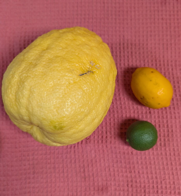 Of a lemon - 9GAG