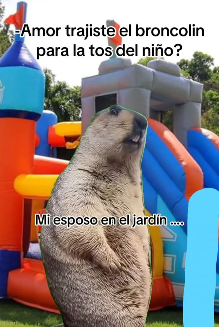 Creo que me equivoqué querida... - 9GAG