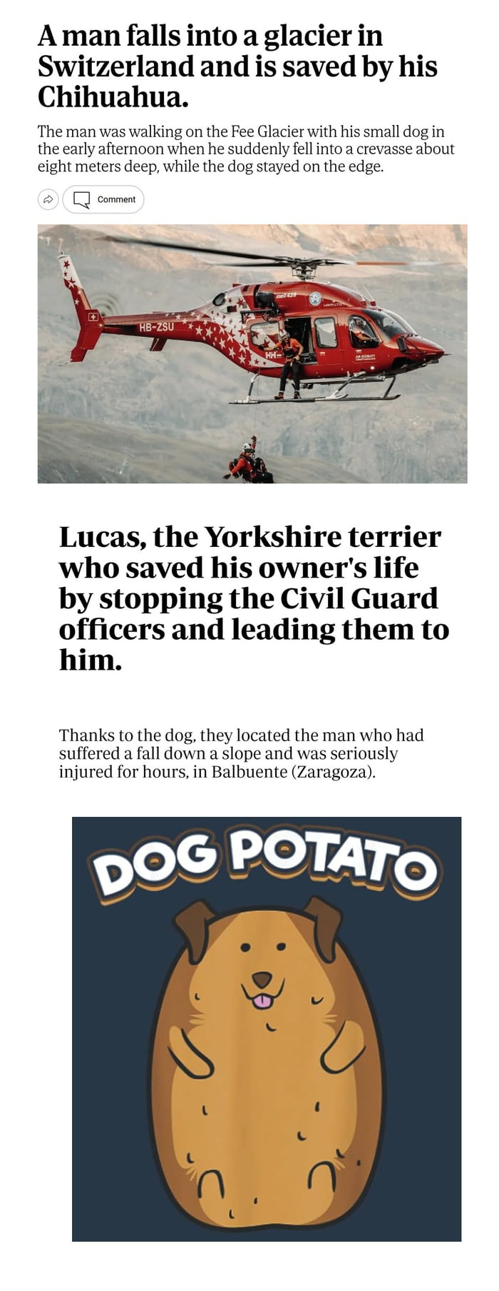 Small dogs can help too - 9GAG