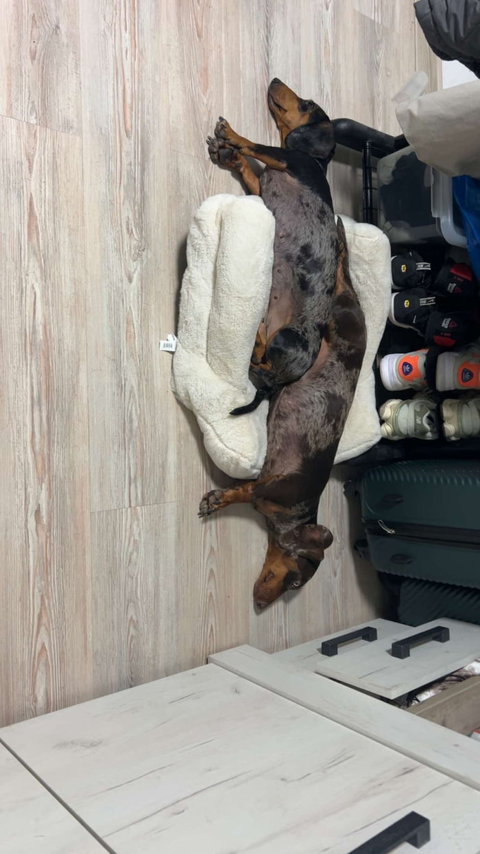 Not so bright - 9GAG