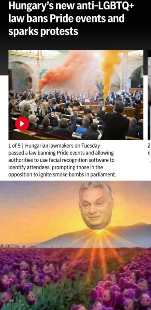 Hungary bans geh shiet. - 9GAG