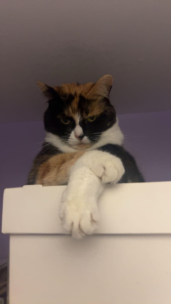 Haha, hello Boss! - 9GAG