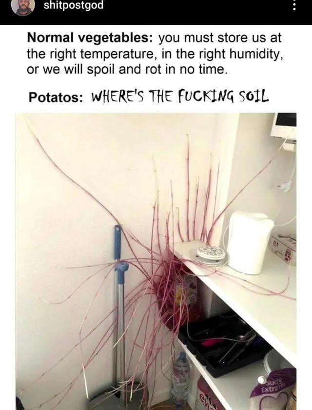 The most passive aggressive and delicious vegetable - 9GAG