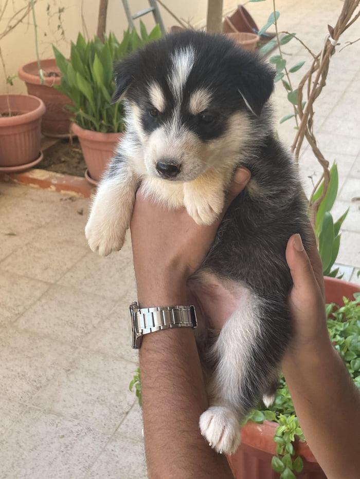 Name idea? Tiny boy 😆 - 9GAG