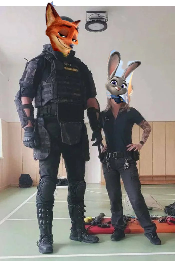 Real life Zootopia - 9GAG