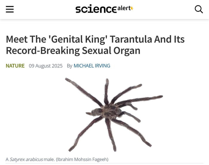 Two things I learned today: 1. Somebody was looking for the biggus dickus spider 2. "fa-g-eeh ...