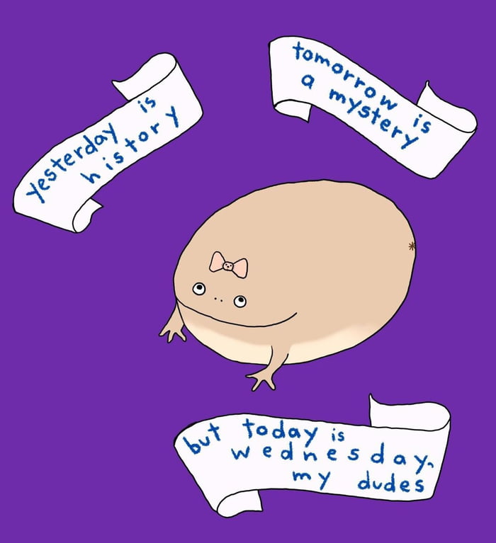 It's Wednesday my dudes - 9GAG