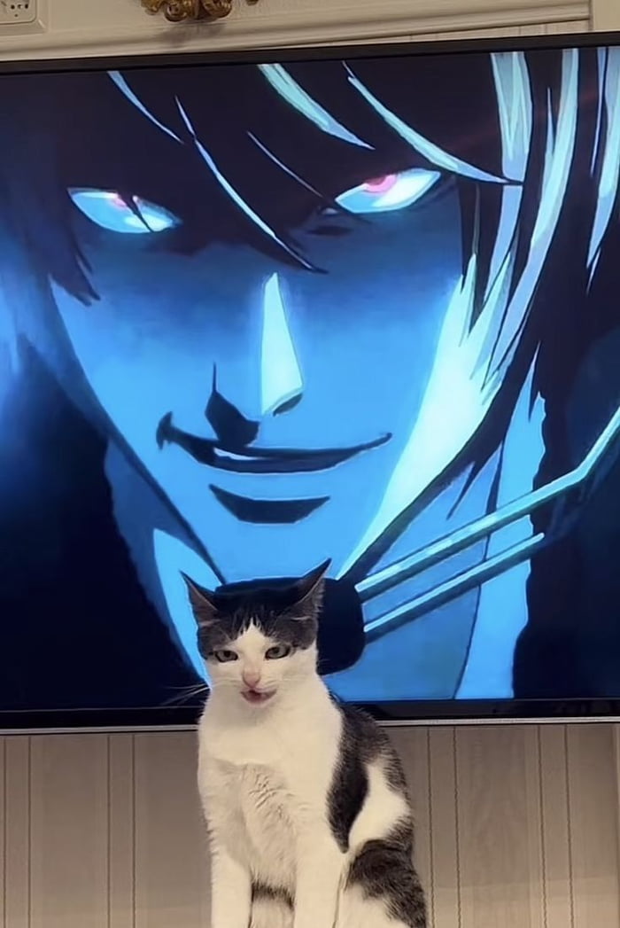 He thinks he's him 😂 - 9GAG