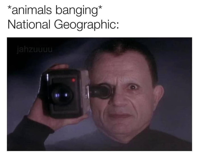 Oh yeah, that's the right spot! - 9GAG