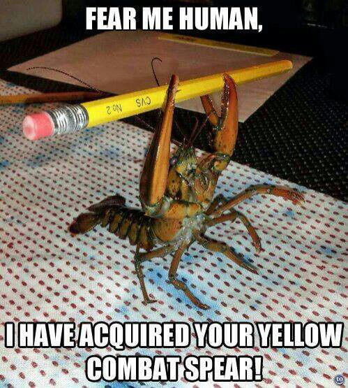 High Crab Priest, bearer of Pencil. His attacks create and delete ...