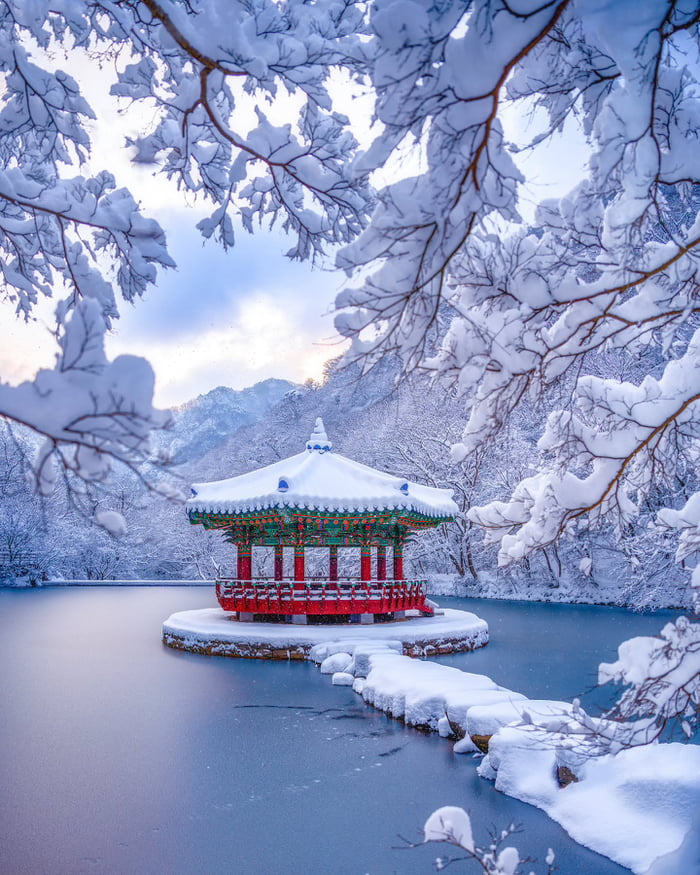 Winter pond surrounded with frosted trees in the Naejang Mountains ...