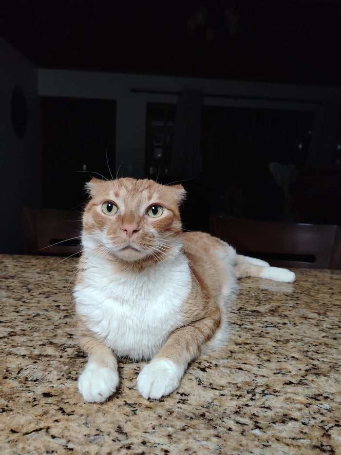 Rex wants to know if they are all really called cheebs - 9GAG