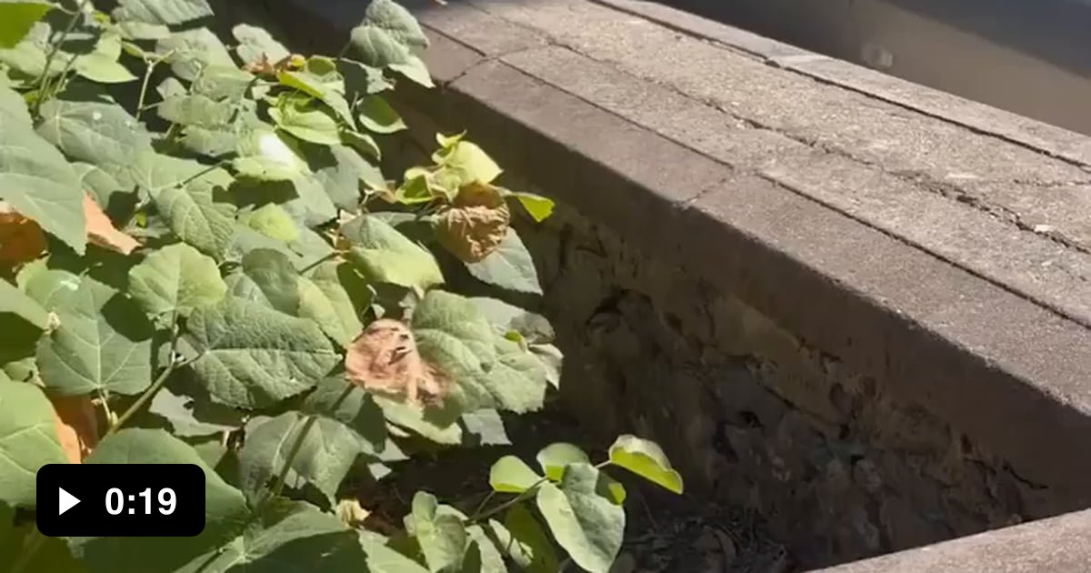 OTW to the office .... cute guy shows up - 9GAG