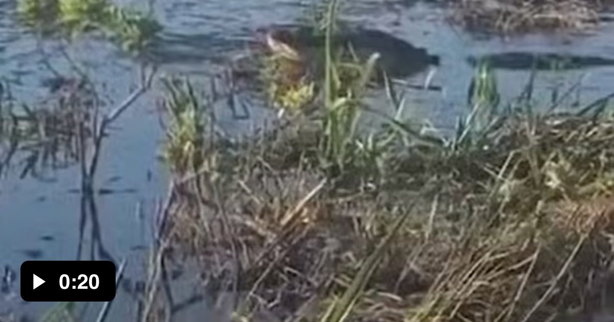 George: why so spicy?! - 9GAG