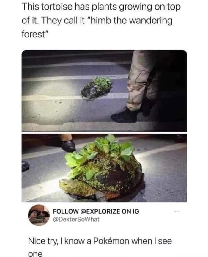 He’s not wrong - 9GAG